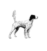 Bob's Straight Creek Llewellins – Bob's Straight Creek Llewellins